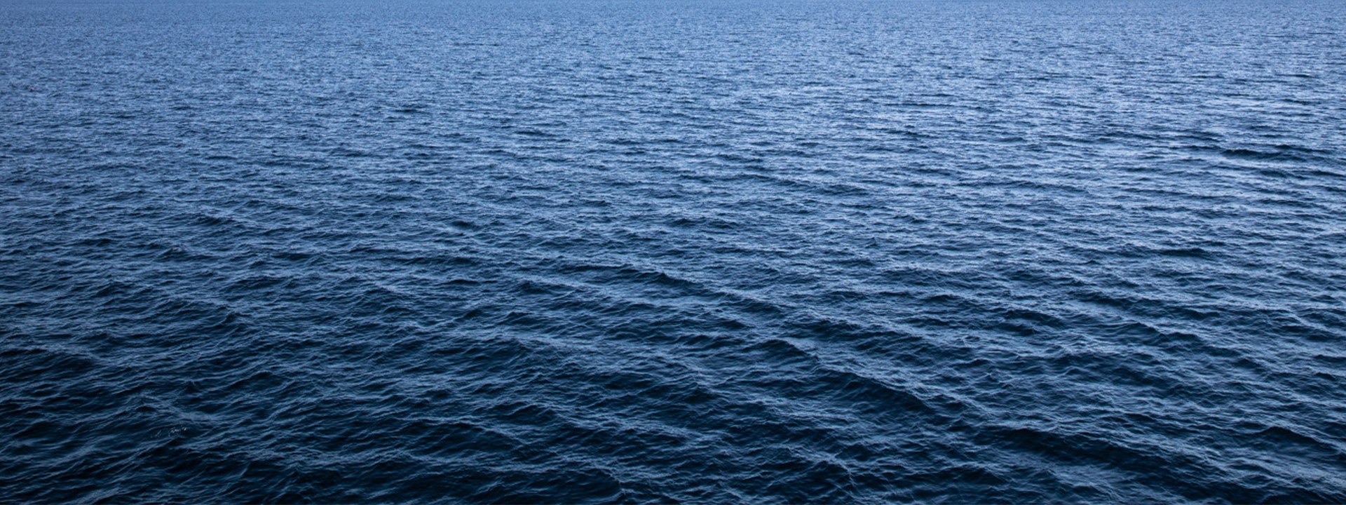 Ponant unveils its iconic newbuild ship | Ponant